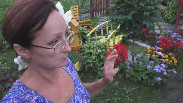 Видео привет с 6 соток 12 августа 2021 года