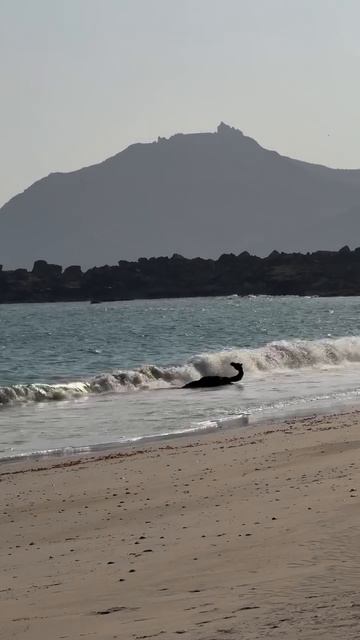 МОРСКАЯ ДУША...