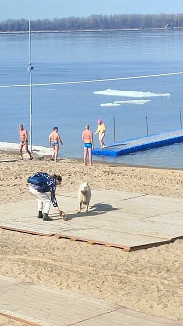 Горячие сердца моржи открывают весну на Волге!