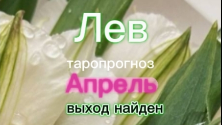 Лев♌️ Ваш апрель 2026г