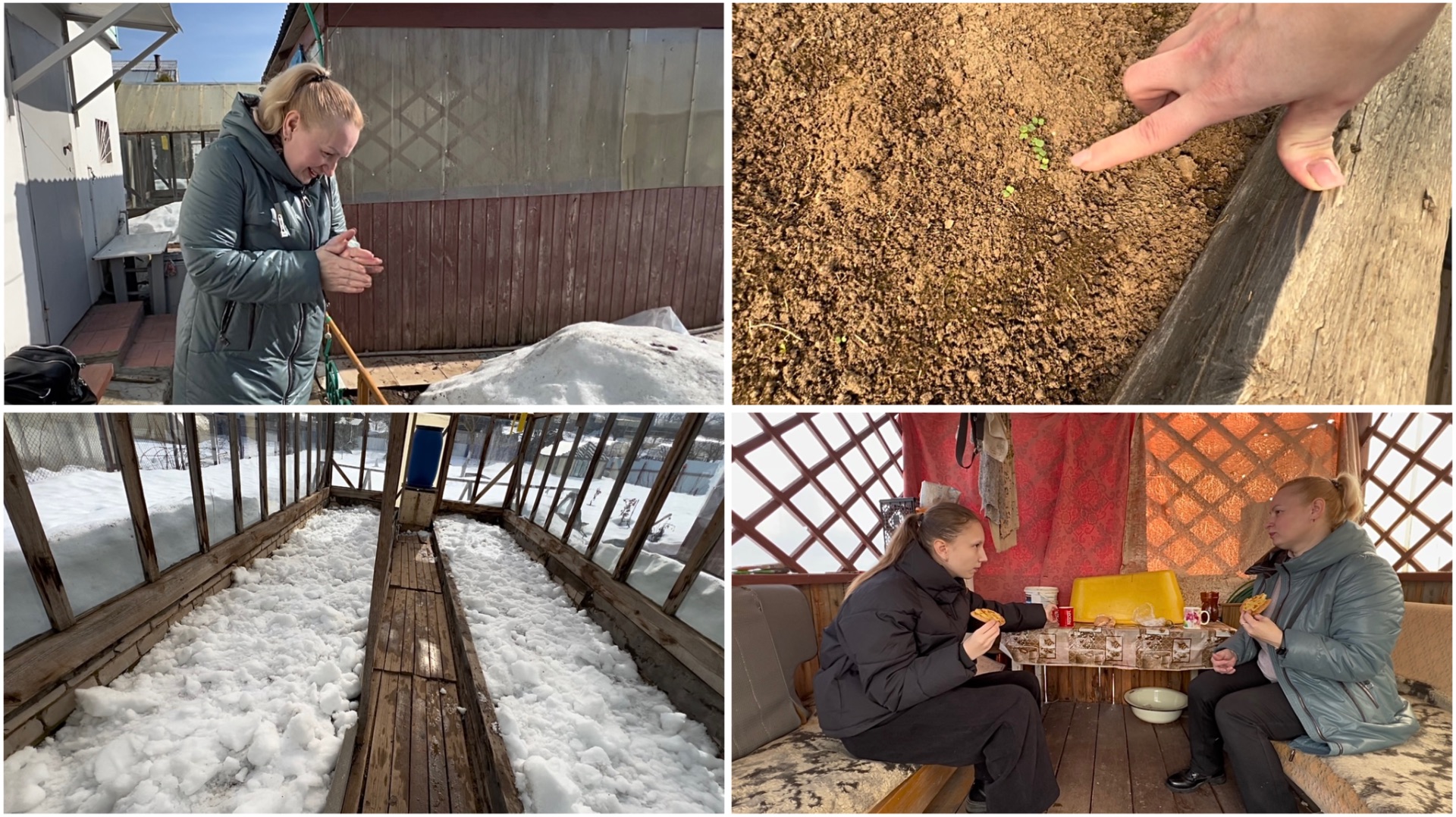 28 марта. НА ДАЧЕ. Часть 1. Первые всходы. Мозгов не хватает. Дачный мукбанг.