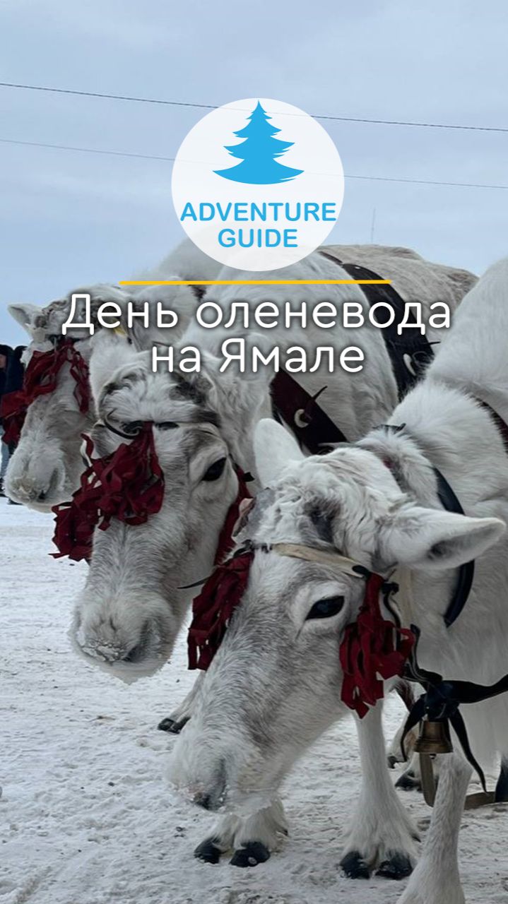 Ты узнаешь, что напрасно называют Север Крайним...