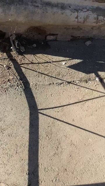 №1943 Двор Г. Звезда 73-Красноармейская 52 28 марта 2026 г., 12:37:25 VID_20260328_123634161