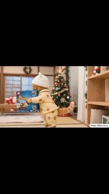 История котенка27