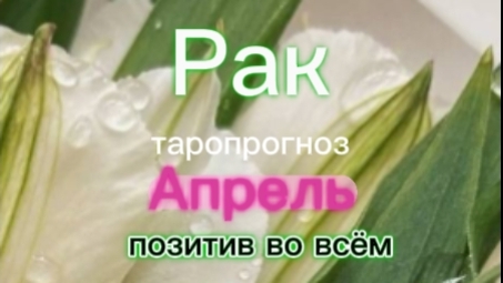 Рак♋️ Ваш апрель 2026г.
