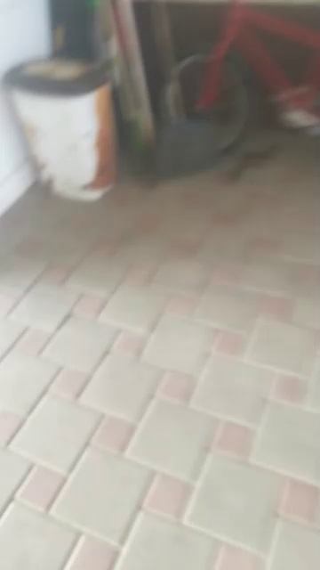 на улице 5 серия!