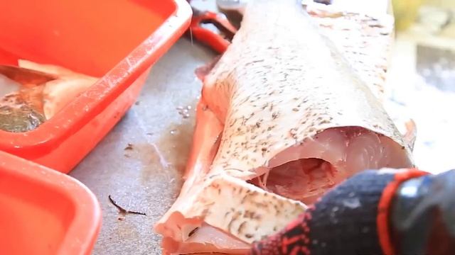 Готовим лучшее блюдо из рыбы Рыбные рецепты Видео рецепты Простые рецепты Вкусные рецепты