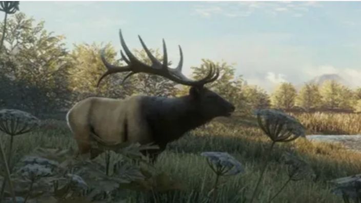 theHunter Classic-Водопад Красного Пера(Канада)-Олень Рузвельт