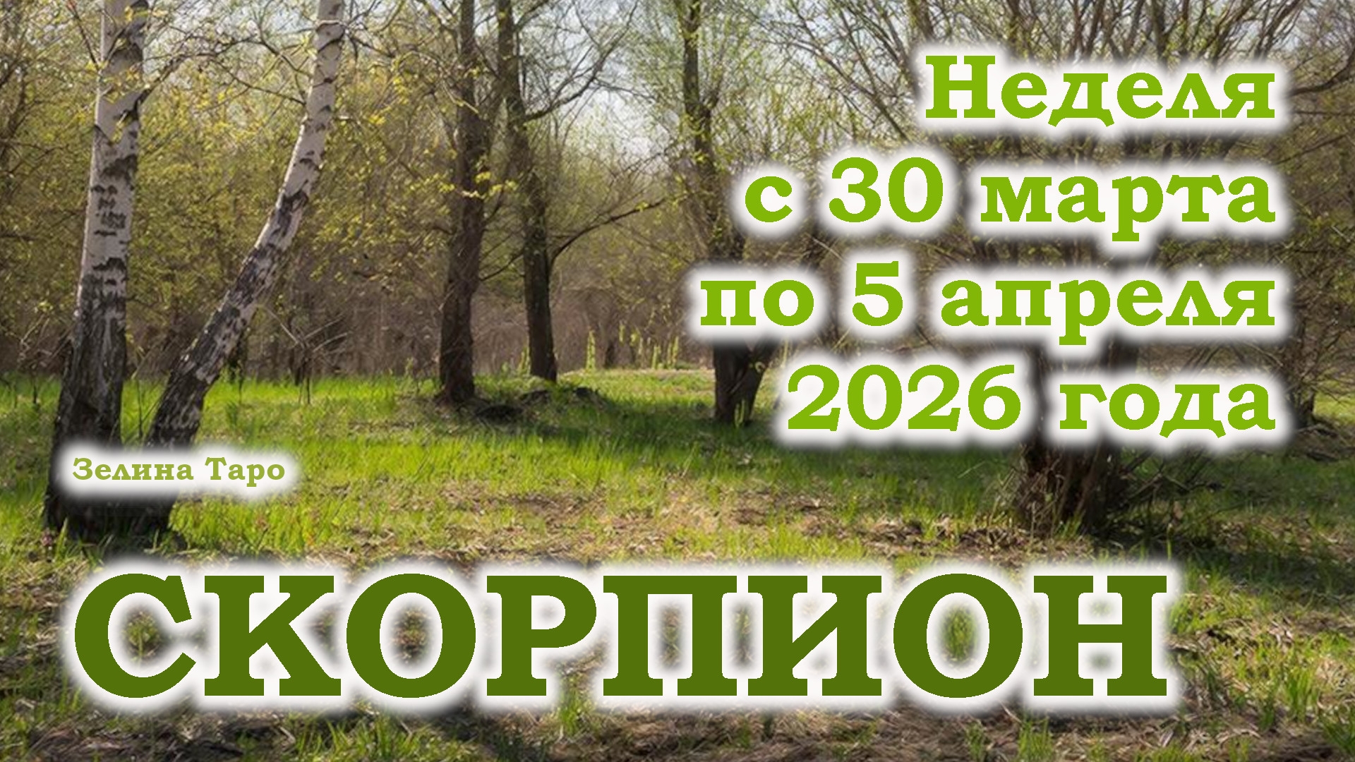 СКОРПИОН | ТАРО прогноз на неделю с 30 марта по 5 апреля 2026 года