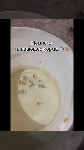плавающий корм первый пробный запуск 25.03.26