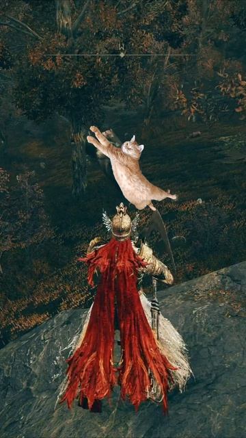 Медведь Джина #shorts #eldenring