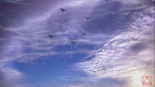 БЛАЖЕННАГО АВВЫ ЗОСИМЫ СОБЕСЕДОВАНИЯ ч5