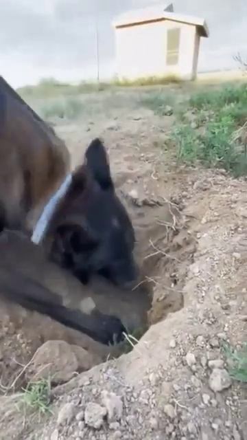 Когда наконец-то вырвался на коп 😁