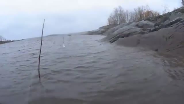 ВОДА ОТОШЛА! ОНИ ЛЕЖАЛИ И СМОТРЕЛИ НА МЕНЯ,ПРЯМО НА ТРОПЕ!