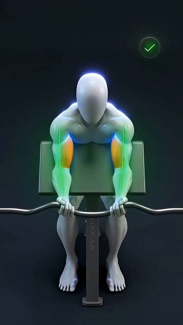 Ошибки при выполнении сгибания бицепса, которых следует избегать. #sports