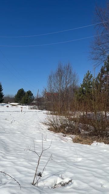 Продается участок 25 соток с подключенным электричеством в дер. Шушково, Александровский район