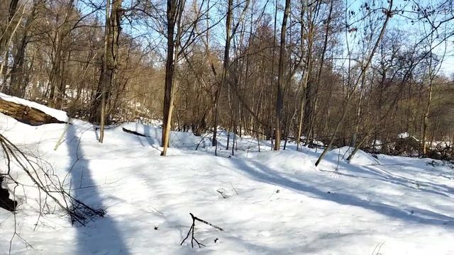 В Пайгарме ранней весной.