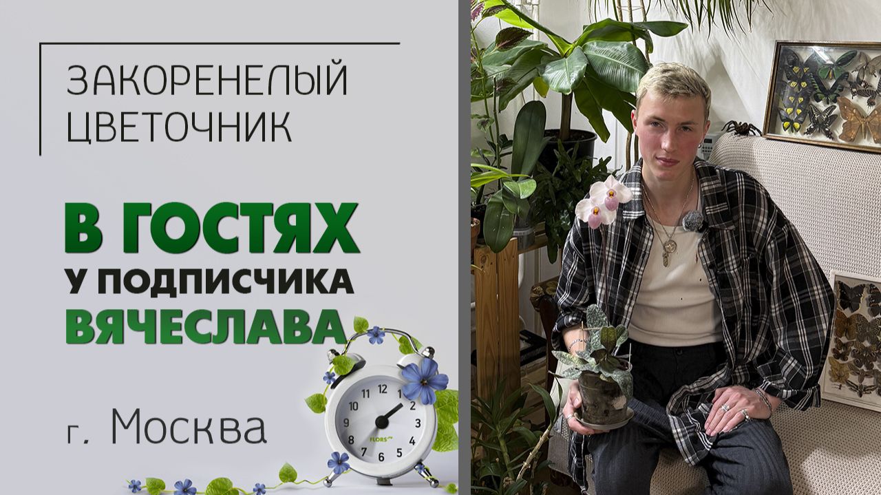 В гостях у Вячеслава г. Москва. Редкие орхидеи, оранжерея, попугай, палочники, ящерицы и пауки.