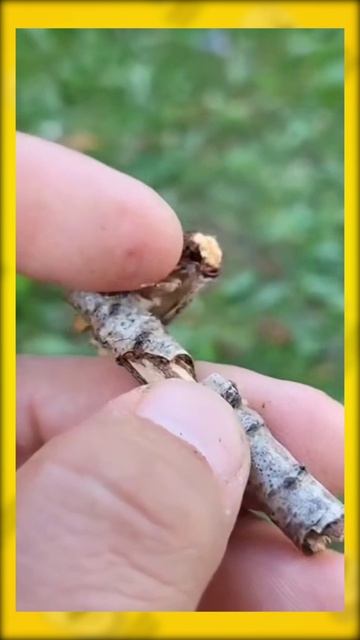 маскировка от природы - заходи в вк --﹥ https://vk.com/peshkom_postoyu_smile_vk