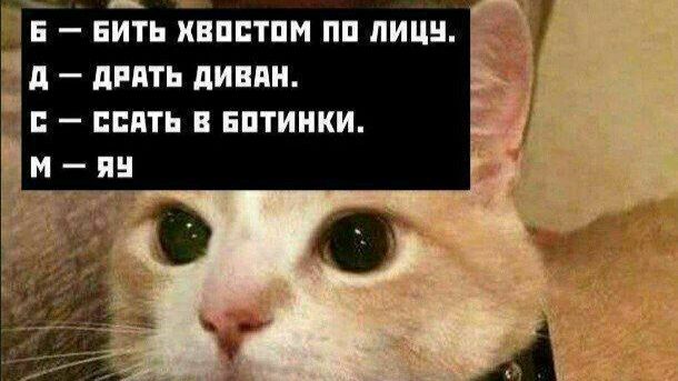 Физика - Больше чем_караоке