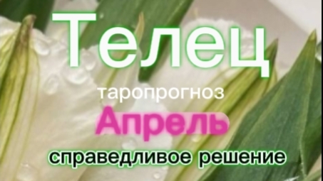 Телец♉️ Ваш апрель 2026г.