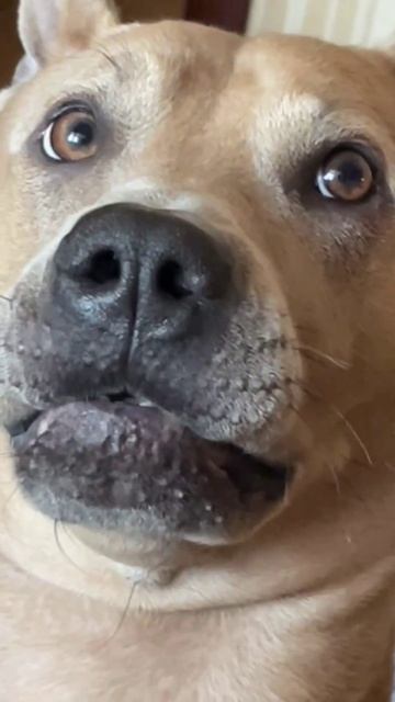 Растерянность выглядит так )