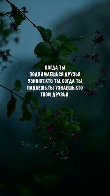 #1034 Цитата дня. Мотивация.