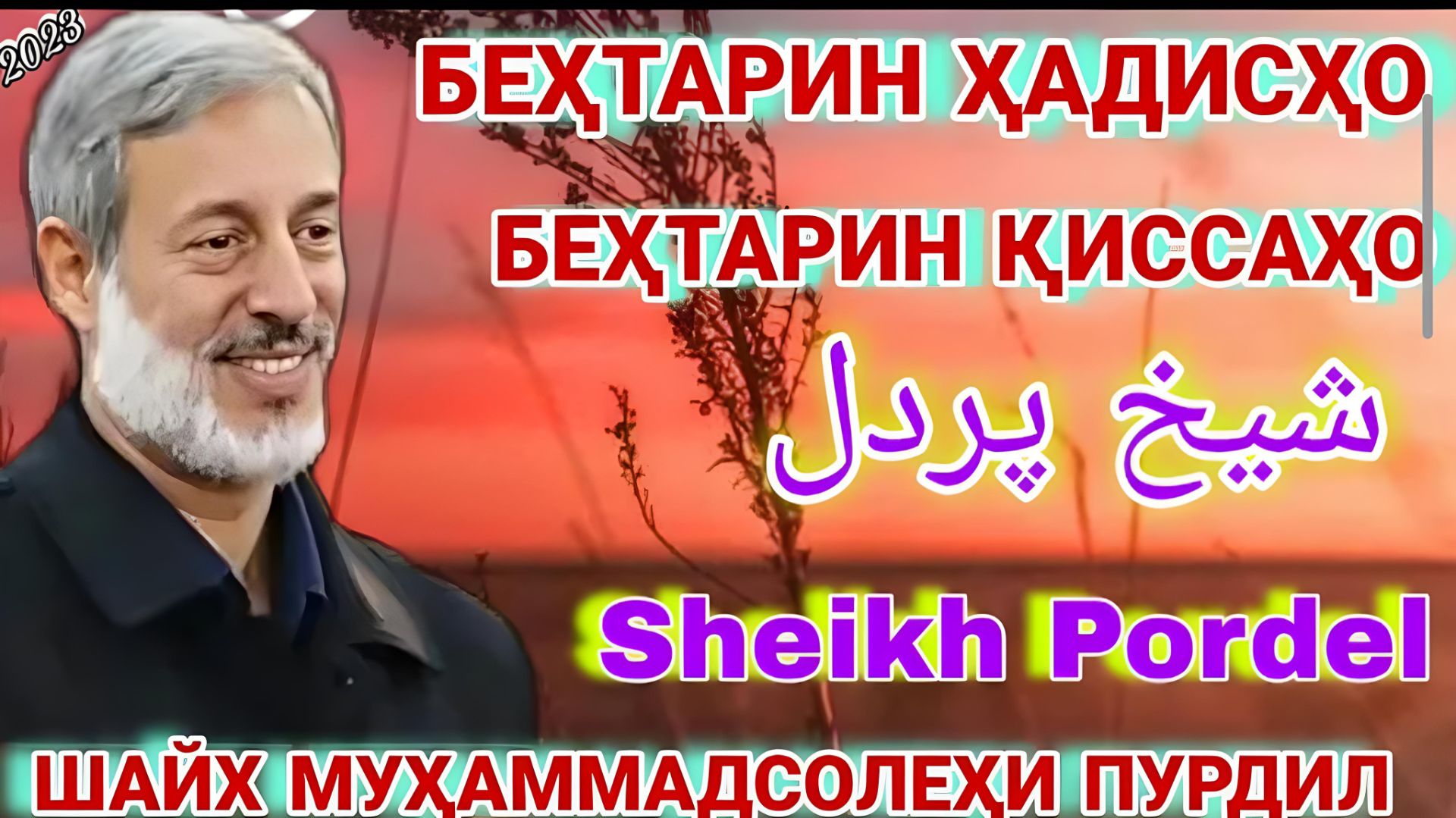 ШАЙХ ПУРДИЛ. АМРИ МАЪРУФ ВА ҚИССАҲОИ ИСЛОМӢ АЛАМОВАР