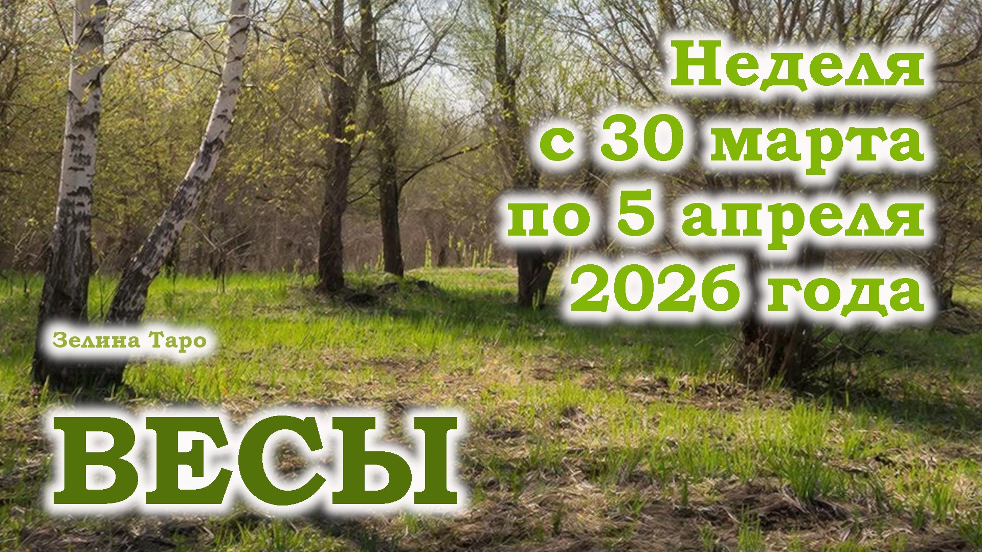ВЕСЫ | ТАРО прогноз на неделю с 30 марта по 5 апреля 2026 года
