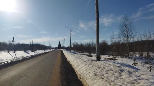 Дорога до госконюшни.