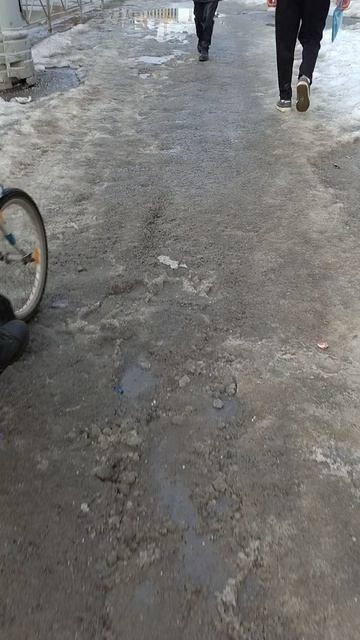 №1906 ул. Белинского. 25 марта 2026 г., 18:26:44 VID_20260325_182525662