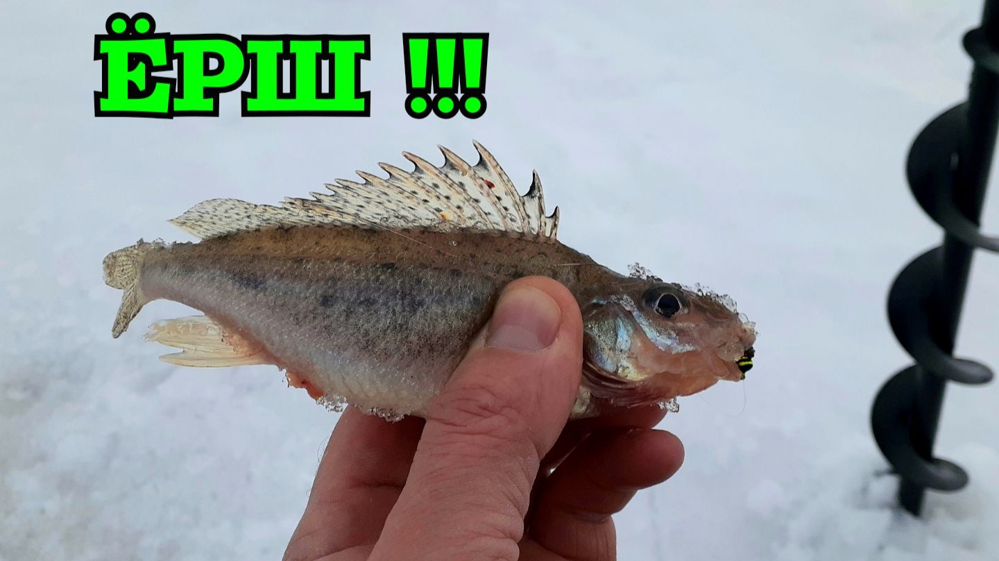 Рыбалка в марте |  Море окуня под лункой | Туман накрыл рыбаков