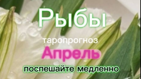 Рыбы♓️ Ваш апрель 2026г.