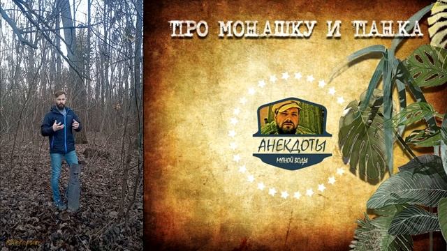 Анекдот про монашку и панка