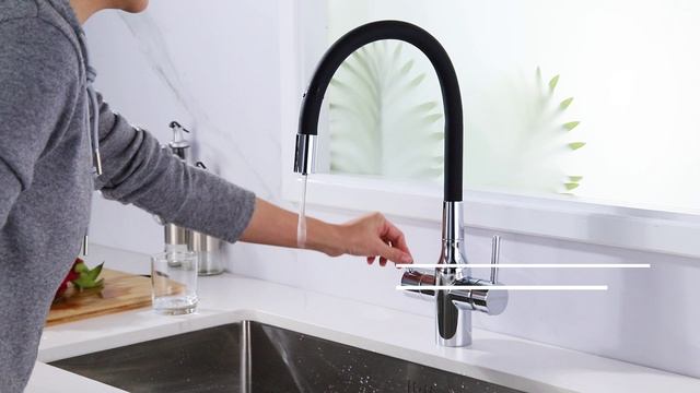 Смеситель для кухни с подключением к фильтру Paulmark Salix Sa213419-CR