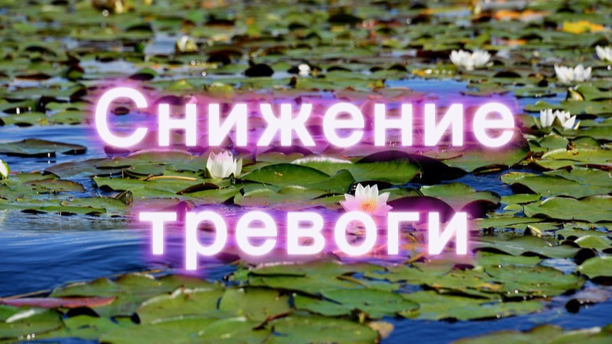 Сказка для снижения тревоги | Сказочный салон "Перепутье", третья встреча