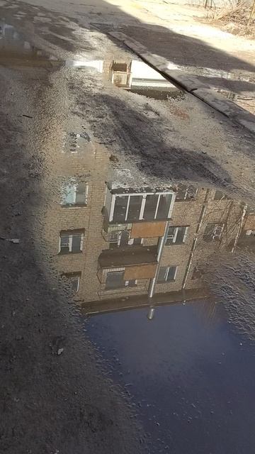 №1944 Двор Г. Звезда 73-Красноармейская 52 28 марта 2026 г., 12:38:34 VID_20260328_123753603