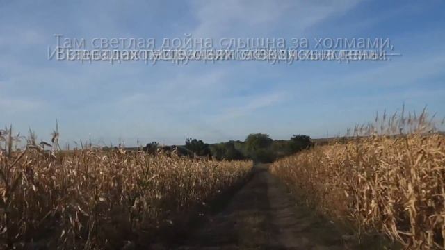 Изготовление вина 21 сентября 2019 Григориополь
