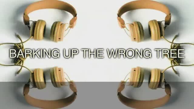 bark up the wrong tree