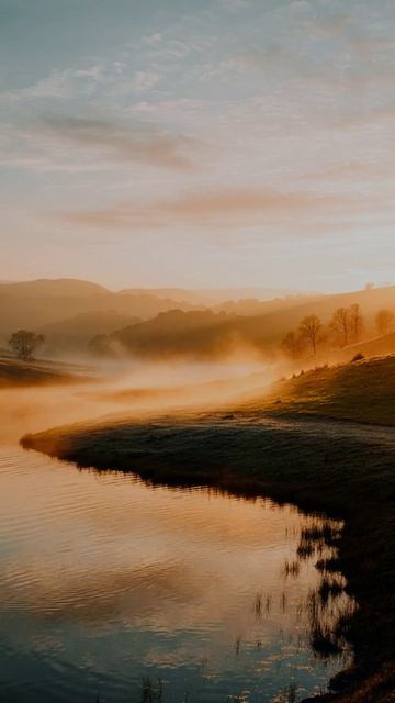 И шум дождя