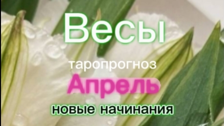 Весы♎️ Ваш апрель 2026г.