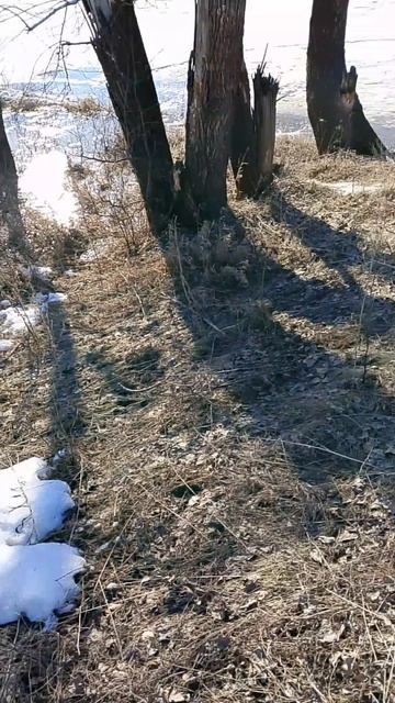 а у нас свои водопады