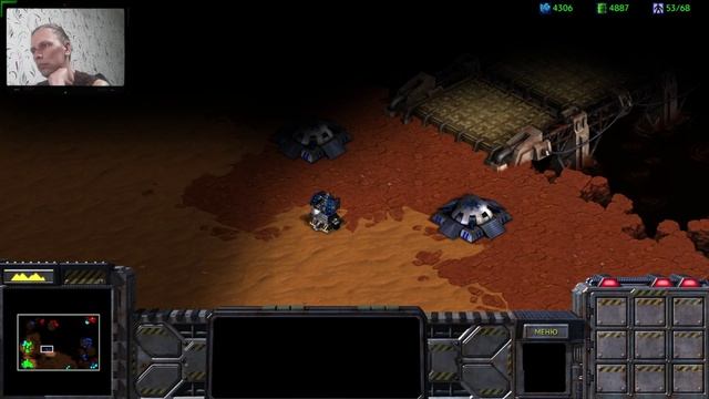 старкрафт брудвар тераны 5 мисисипи