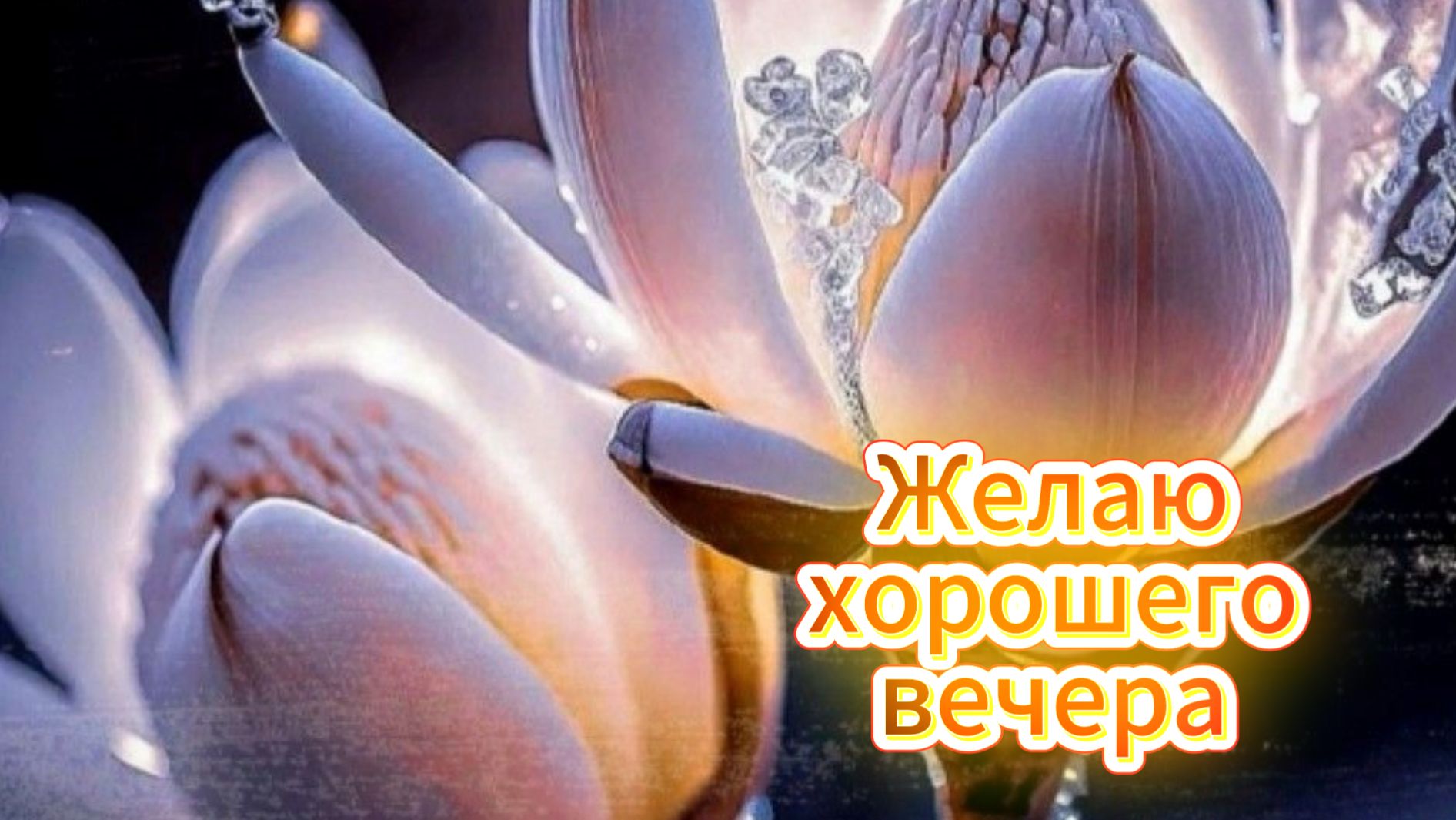 Желаю хорошего вечера! Открытка с добрым вечером с пожеланиями ❤️ музыкальная открытка