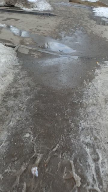 №1909 ул. Газеты Звезда. 25 марта 2026 г., 18:33:39 VID_20260325_183256026