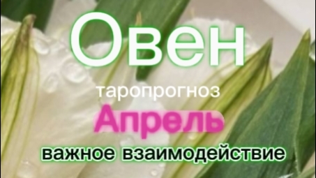 Овен♈️ Ваш апрель 2026г.