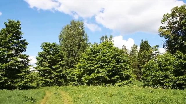 НЕВОЗМОЖНО СЛУШАТЬ БЕЗ СЛЁЗ!!! Песня _Доченька_, поёт Валерий СЁМИН