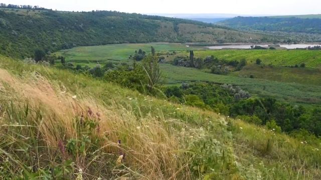Вид на Днестр со стороны Дойбан