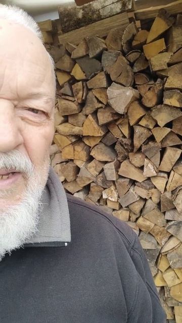 Поленица живет своей жизнью)))