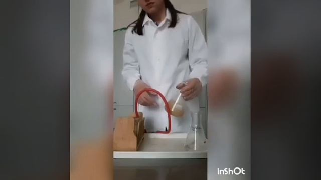 Спиртовое брожение